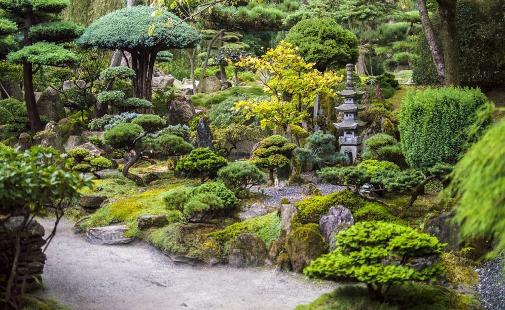 Vyznáte se v japonských zahradách? Rozlišujeme čtyři druhy